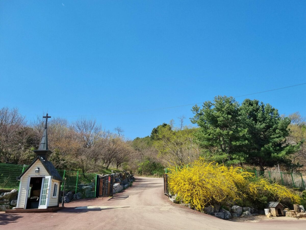 갤러리 – 기자부 - 기자부